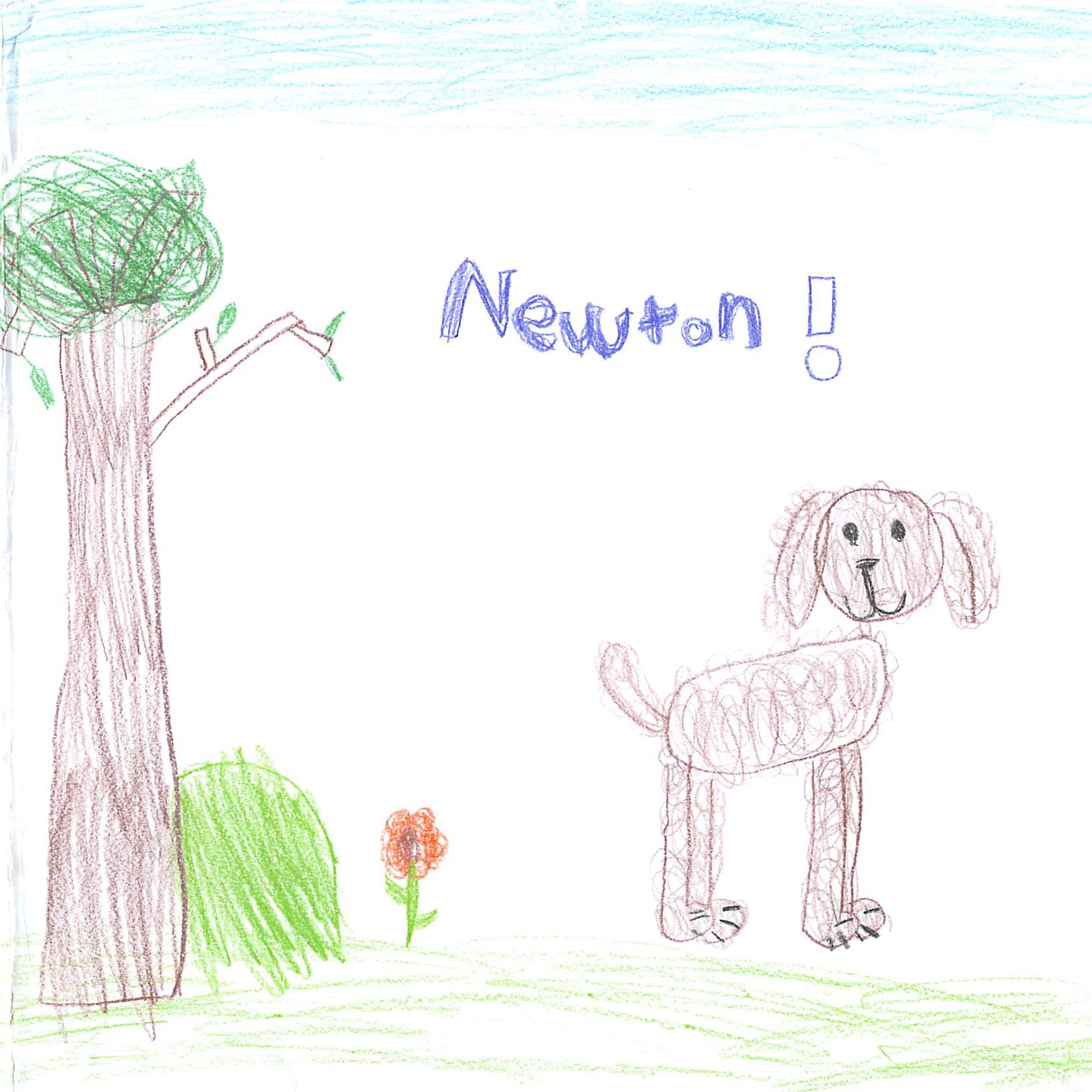 Newton, A Beloved Therapy Dog and Companion - Possibilities